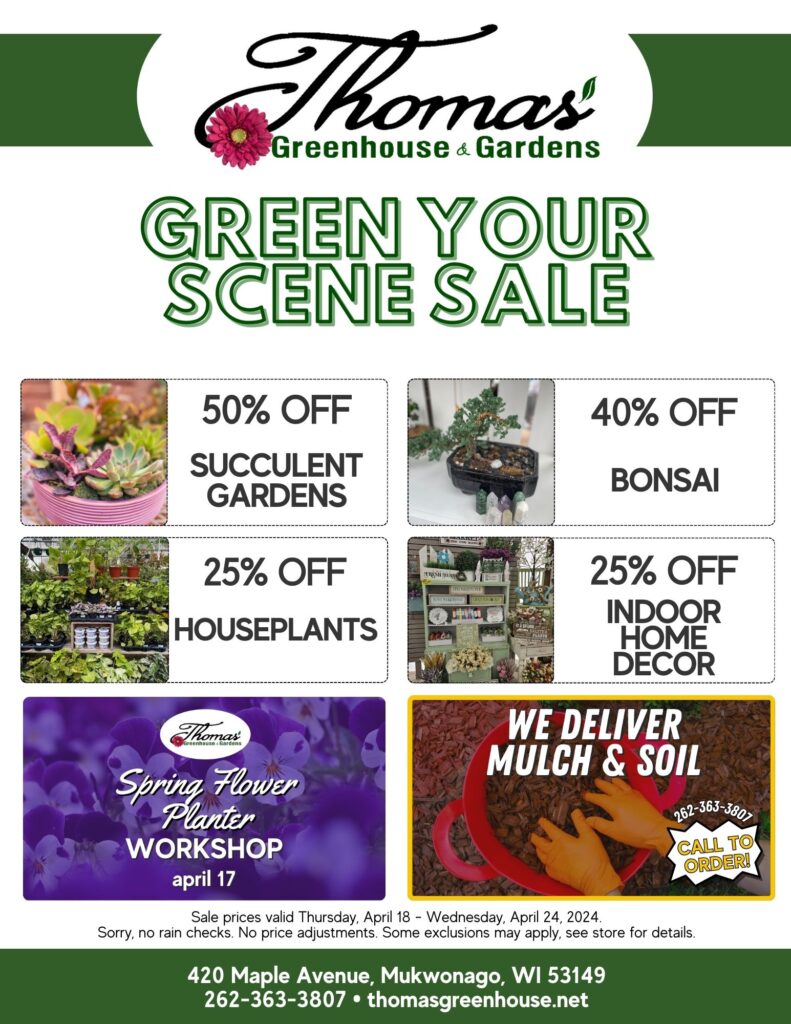 Green Your Scene Sale • Thomas Greenhouse & Gardens